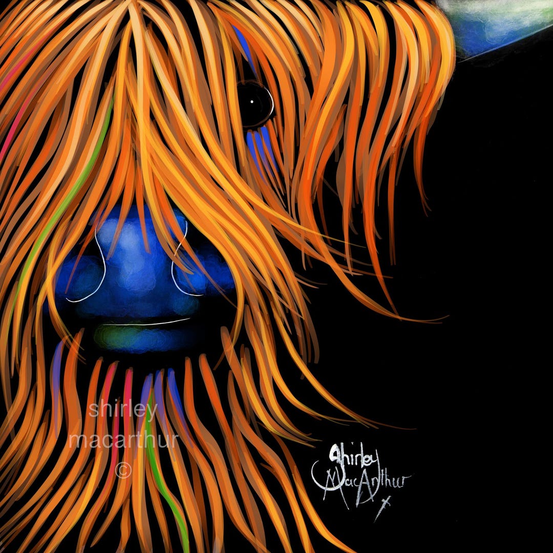 Highland Cow Print 'handsome Hamish' Shirley Macarthur, Cow Art, Cow ...
