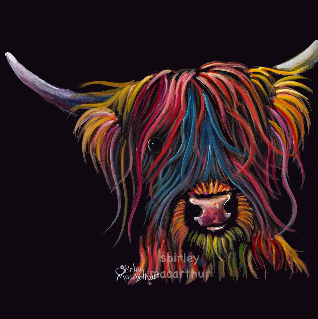 Highland Cow Print Sweet P Shirley Macarthur, Cow Art, Cow Gifts, Cow ...