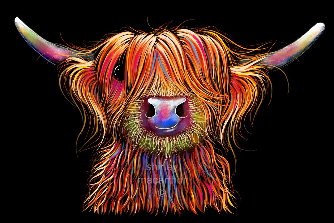 Highland Cow Print 'bertie' Shirley Macarthur, Cow Art, Cow Gifts,cow ...
