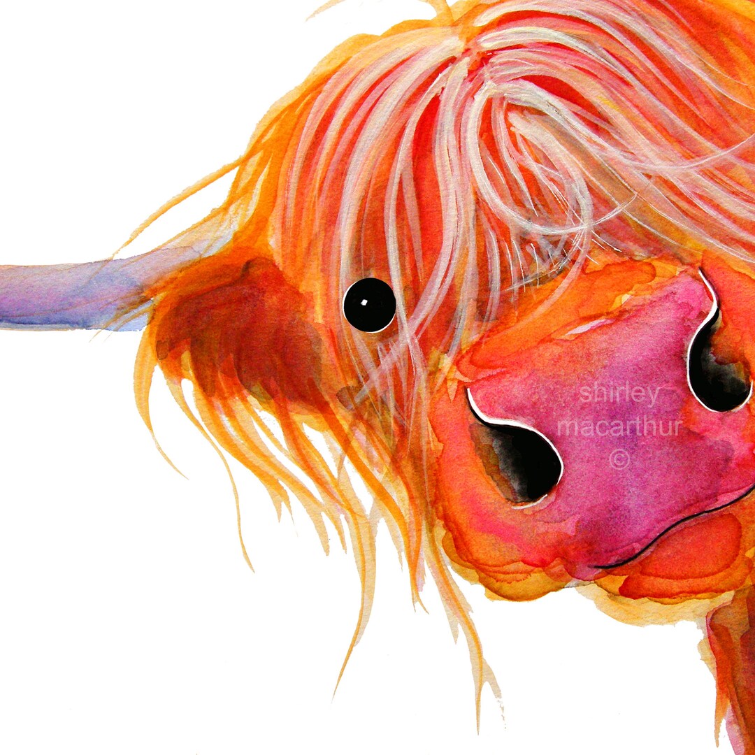 Cheeky/cute Print in 3 SIZES of Original Watercolour Art Nosey Highland ...
