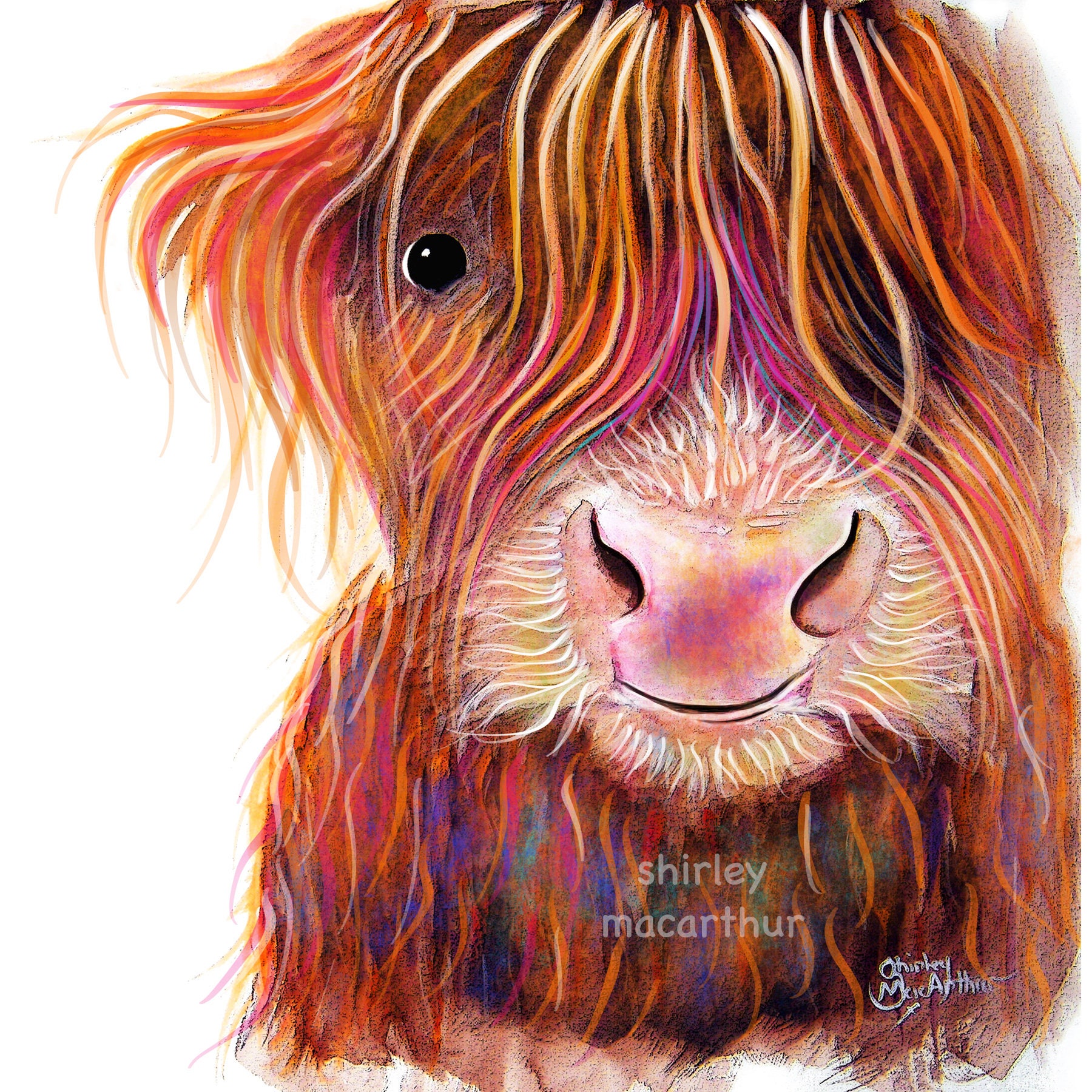 Highland Cow Print THe KiD 2 Shirley MacArthur Cow Art Cow | Etsy