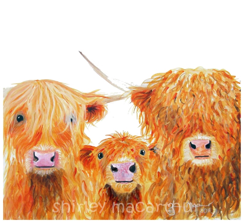 Highland Cow Print 'we 3 Coos' Shirley Macarthur Cow - Etsy