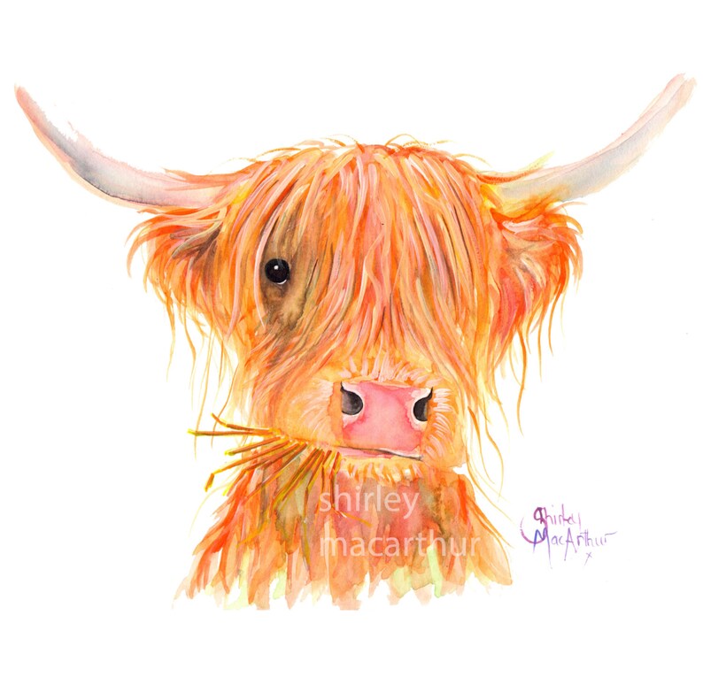 Highland Cow Print 'fergus' Shirley Macarthur Cow - Etsy