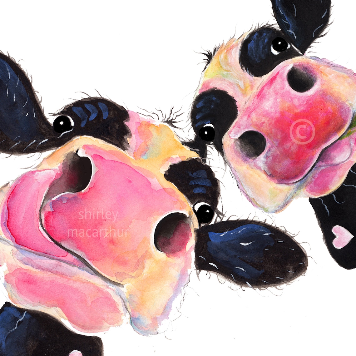 Cow Print of Original Painting Jammie & Hurley by Shirley Macarthur ...