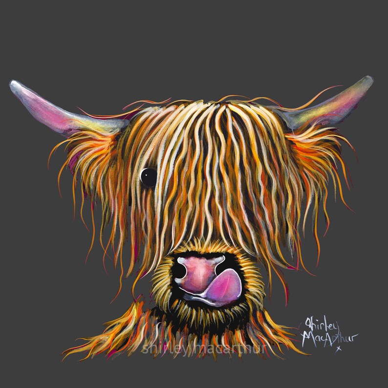 Highland Cow Print 'bryan on Grey shirley Macarthur Cow - Etsy