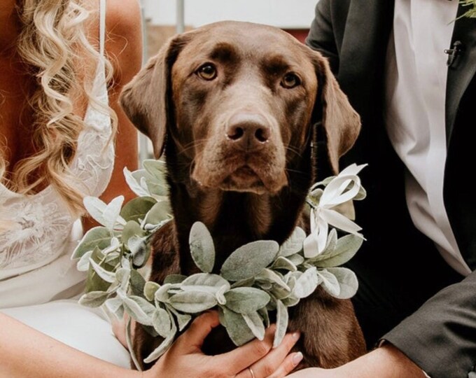 Dog Greenery Flower Collar, Wedding Flower Collar, Eucalyptus Dog ...