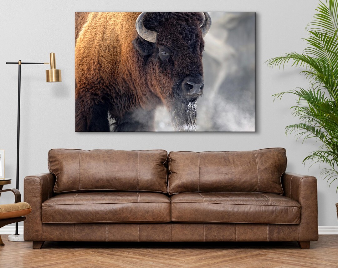 Bison Wall Art Buffalo Canvas Print Art Nature Photography Snow Decor ...