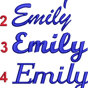 Custom Embroidered Name Iron on Patch Script Font Personalized Your ...