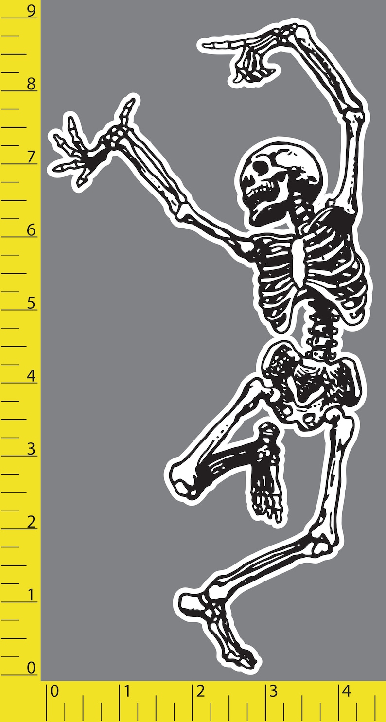 Dancing Skeleton 021324 Laminated Sticker/decal (water/scratch Proof ...