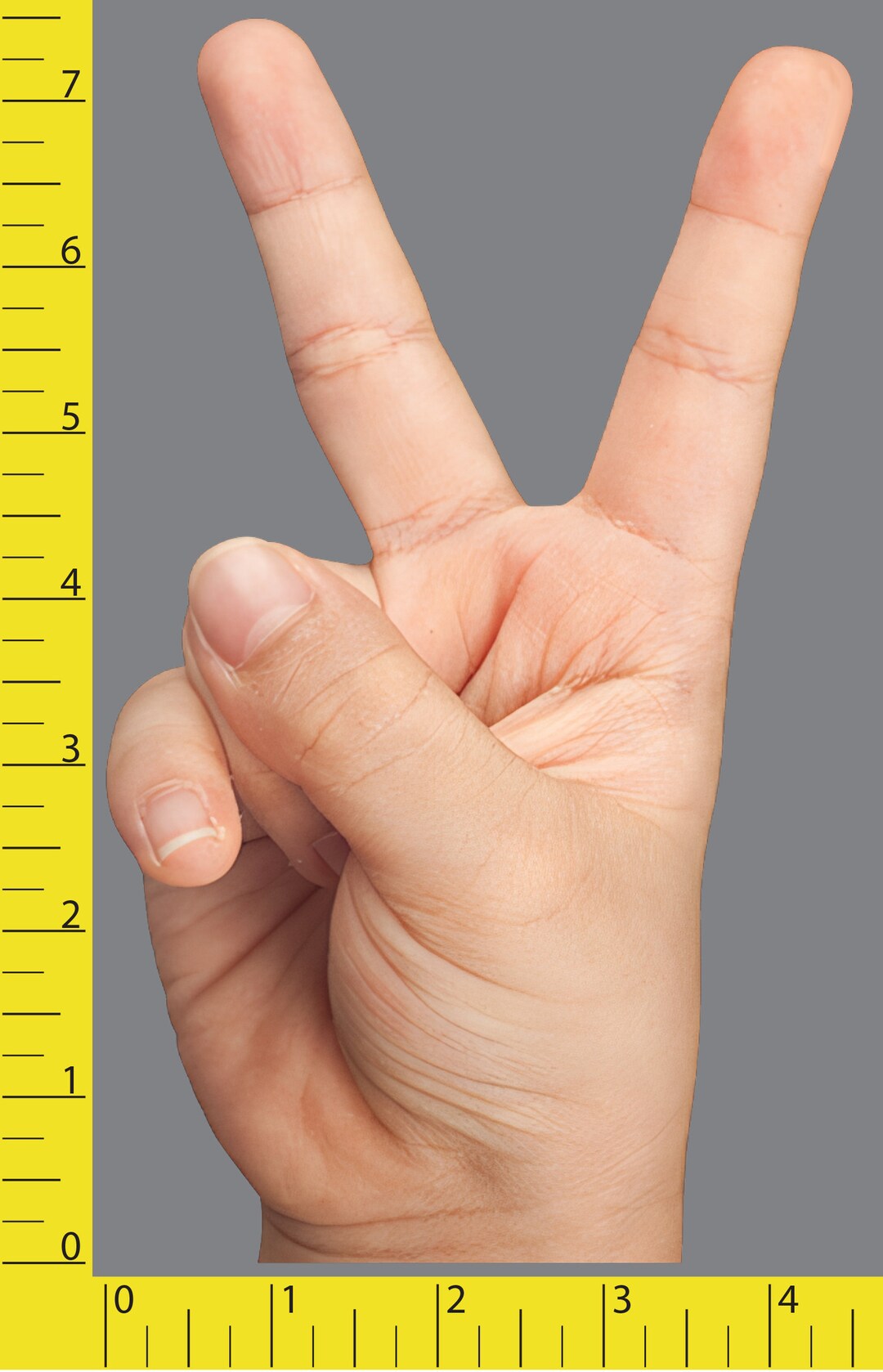 Fingers Peace Sign 020924 Laminated Sticker/decal (water/scratch Proof ...