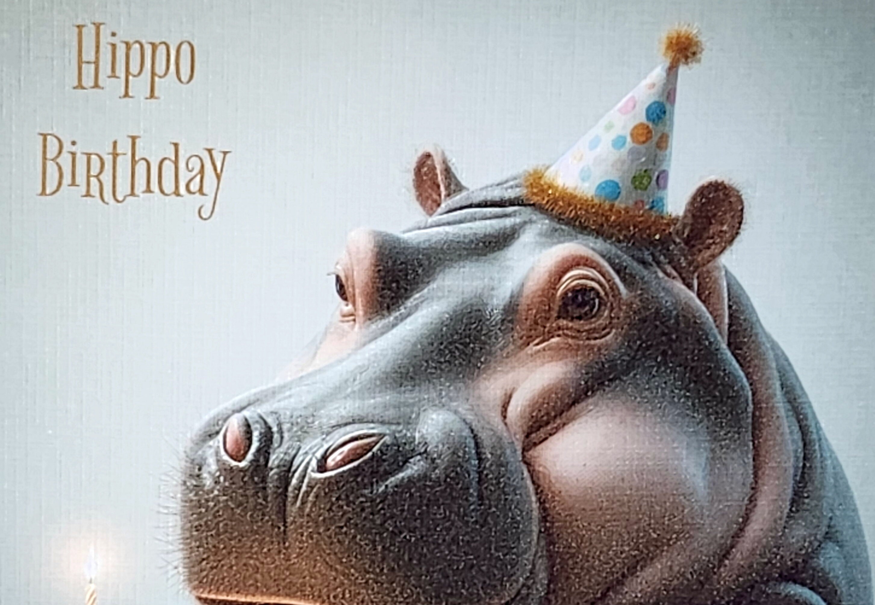 Hippo Birthday Card Hippopotamus Wearing Birthday Hat With Birthday ...