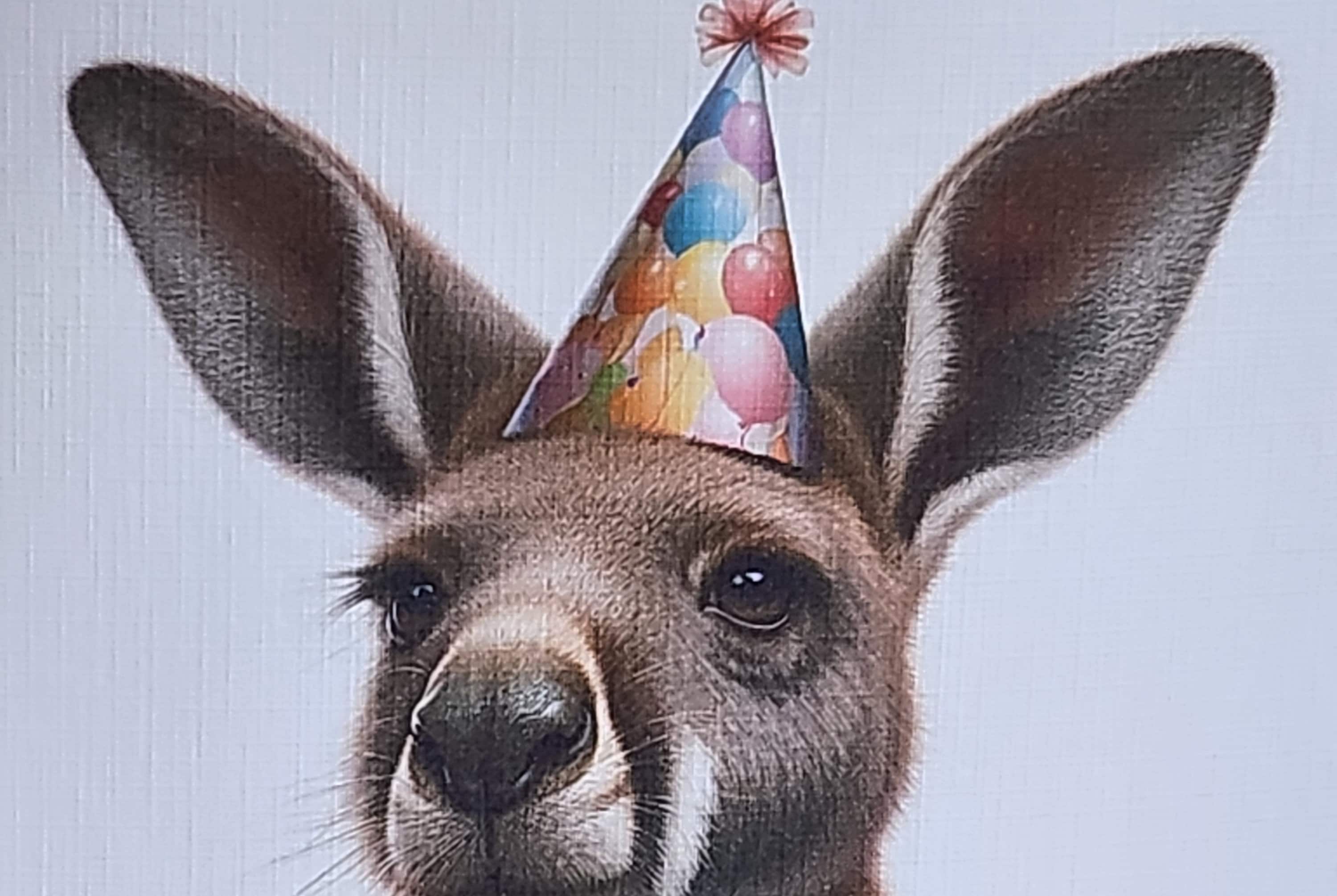Kangaroo Birthday Card Kangaroo Wearing Birthday Hat Husband Wife Son ...