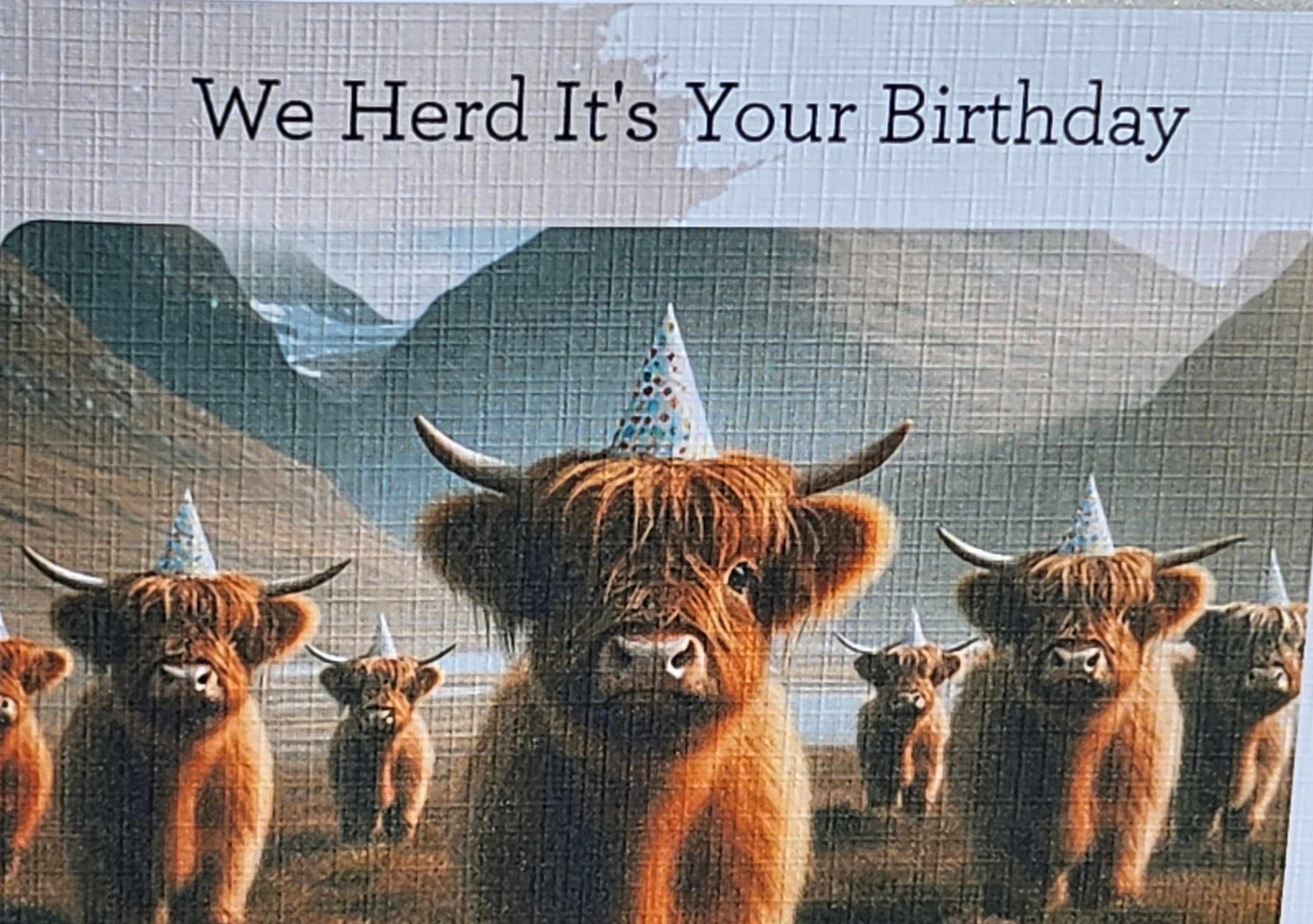 Highland Cow Birthday Card 'we Herd It's Your Birthday' Highland Cow ...