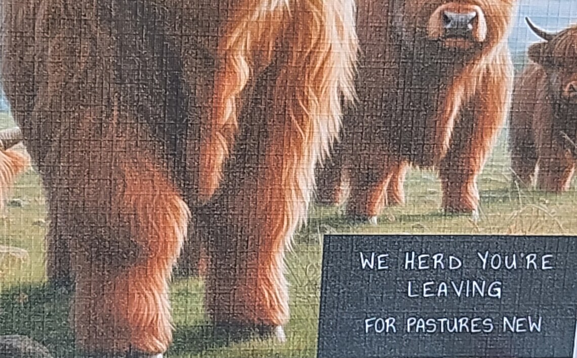 Highland Cow Leaving Card Highland Coo 'we Herd You're Leaving for ...