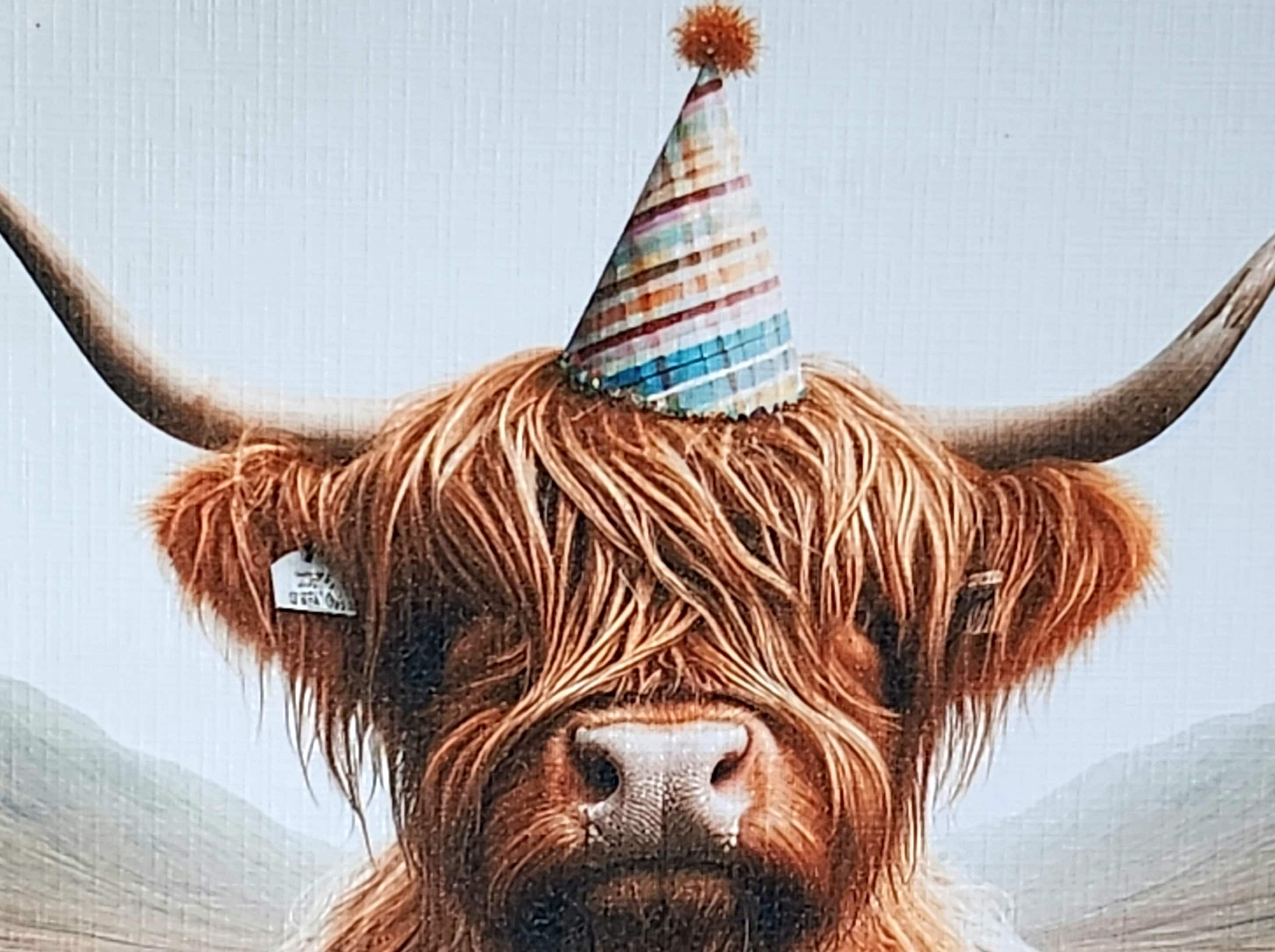 Highland Cow Birthday Card Highland Coo With Birthday Hat Happy ...
