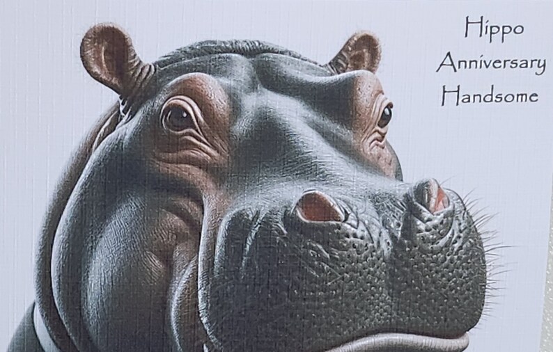 Hippo Anniversary Card Hippo Black Suit and Bow Tie 'hippo Anniversary ...