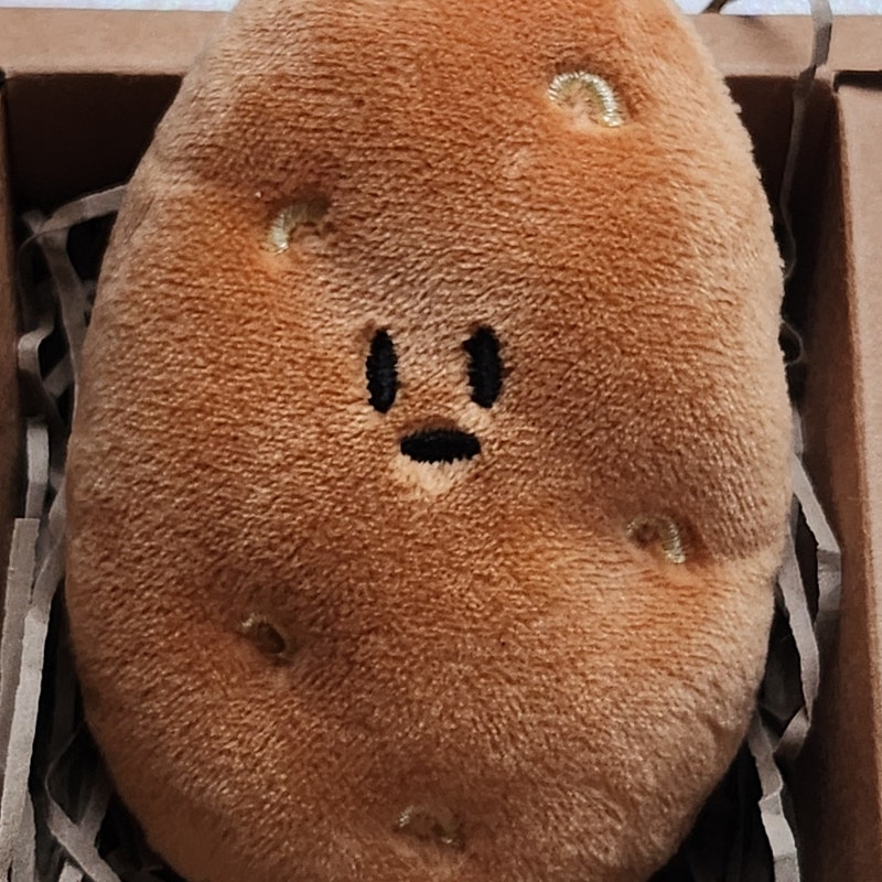 Cute Potato Plush - Etsy