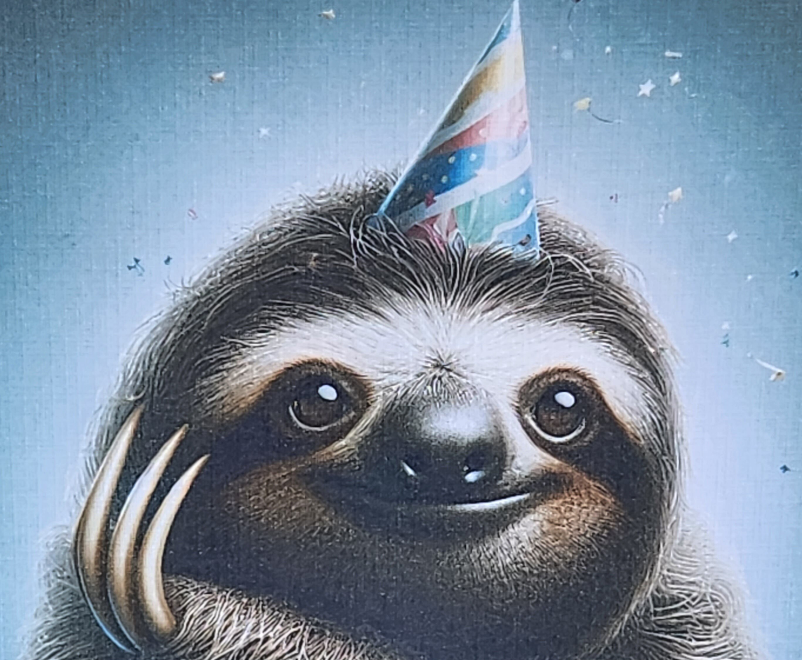 Sloth Birthday Card Sloth Wearing Birthday Hat Dad Son Uncle Grandad ...