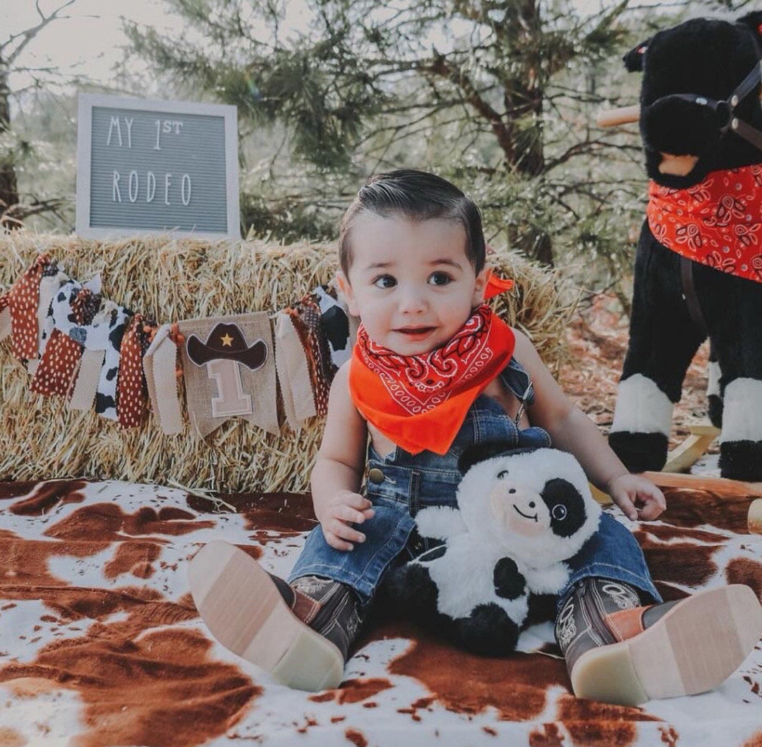 Cowboy Rodeo 1st Birthday High Chair Banner, Party Fabric Banner, Cake ...