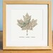 Canada Maple Leaf Map Map of Montreal Montreal Quebec Map - Etsy