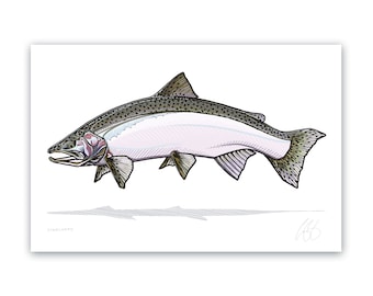 Steelhead art | Etsy