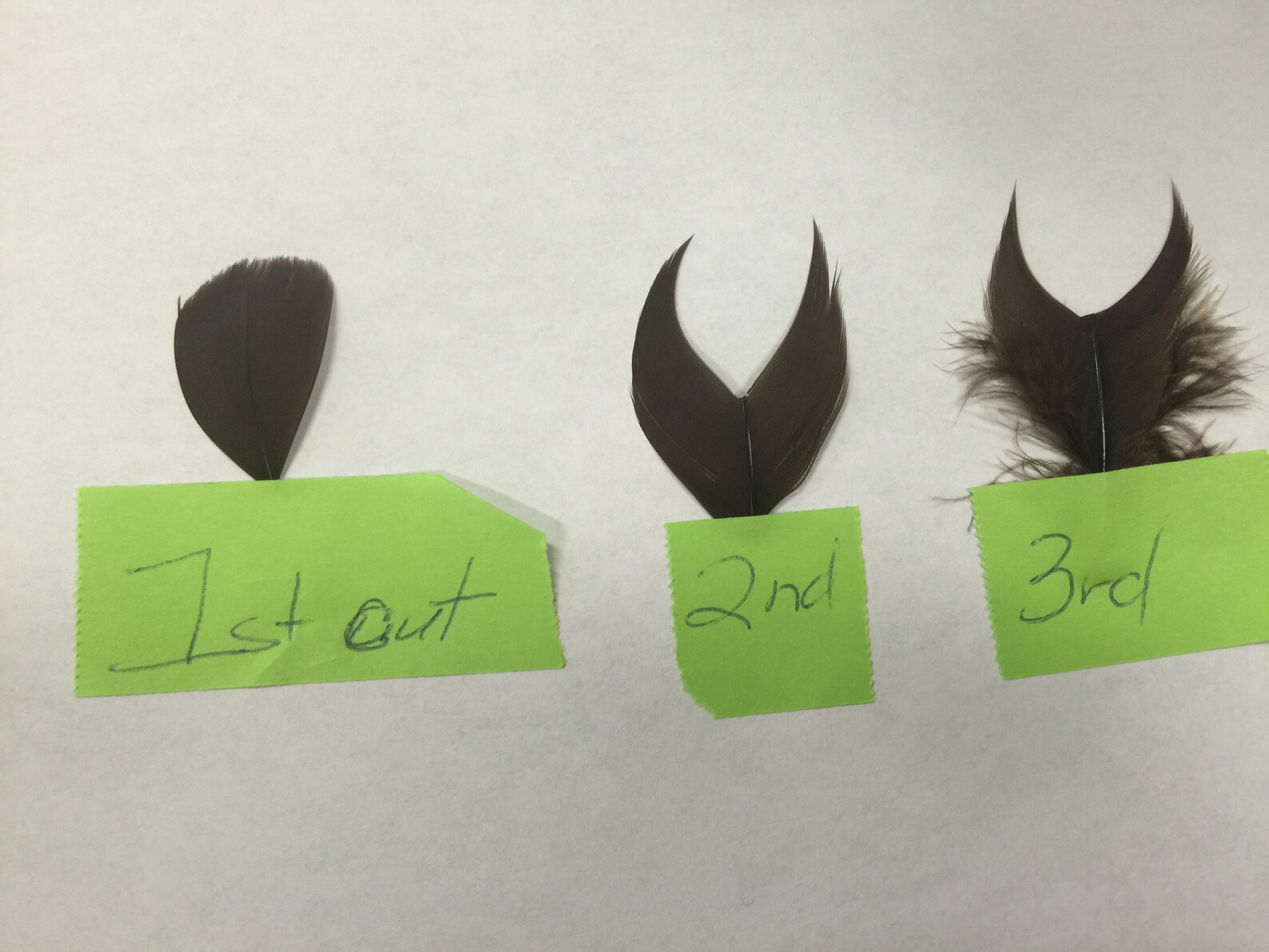 Complete Set Make a Lei Tools, How to Make a Feather Lei Tool Kit ...