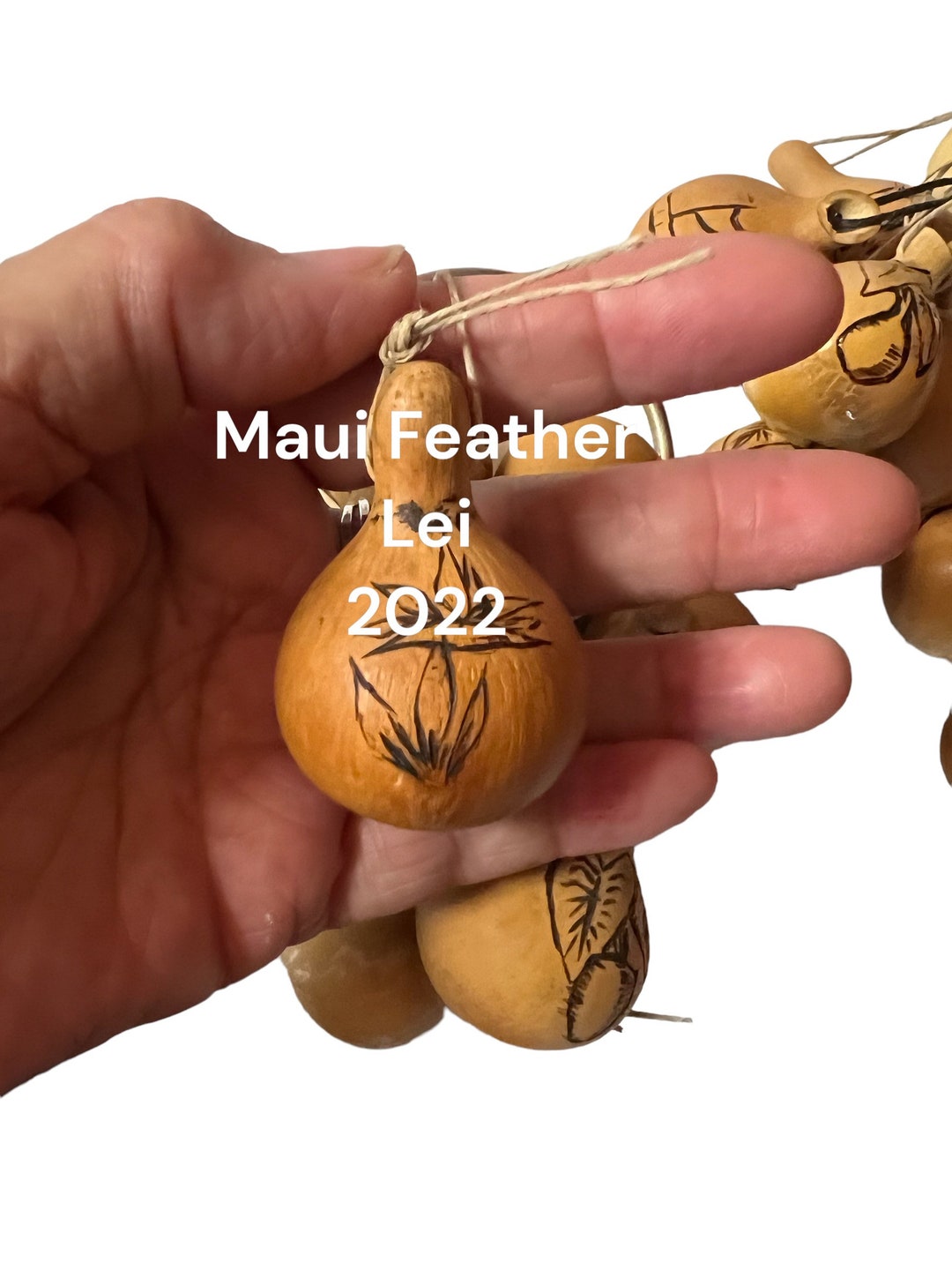 3 Miniature Ipu Hawaiian Gourd, Hand Drawn Hawaii Iconic Images. Kalo ...