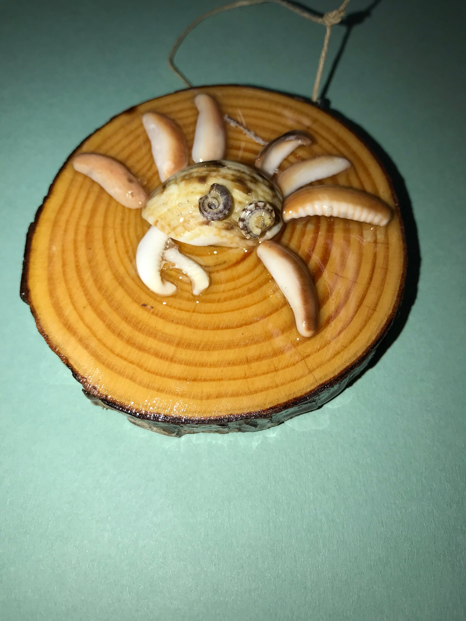 Hawaiian Shell Ornaments, Shell Ornament, Handmade on Maui Christmas ...