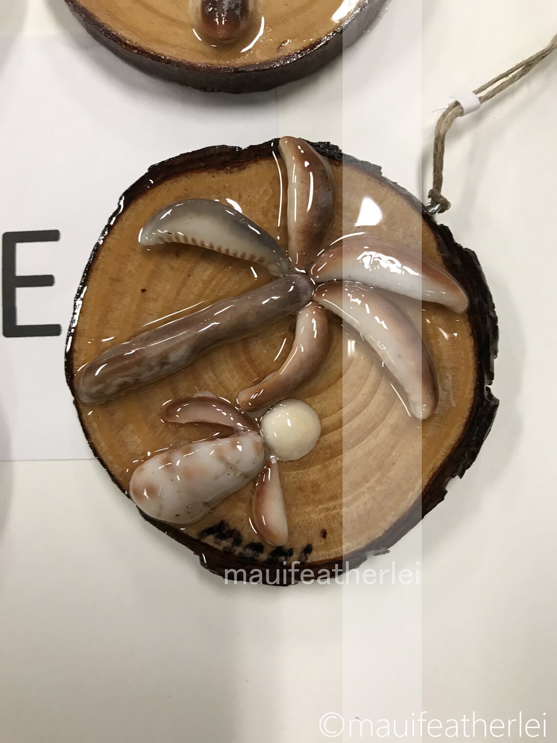 Hawaiian Shell Ornaments, Shell Ornament, Handmade on Maui Christmas ...