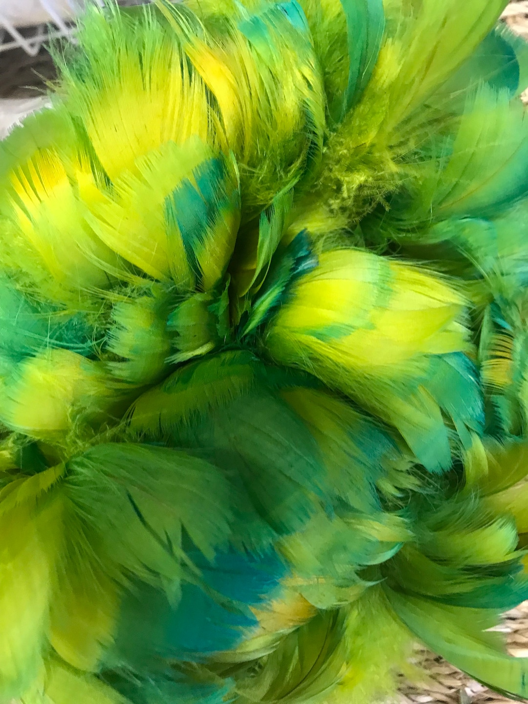 Custom 1 Ounce Goose Coquille Feather for Lei Hulu FREE SHIP DOMESTIC ...
