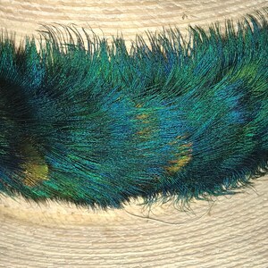 Hawaiian Peacock Feather Hatband Master and Heirloom Quality Lei Hulu ...