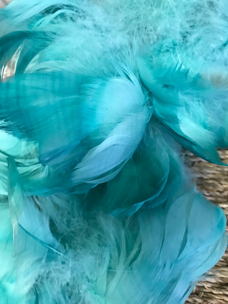 Custom 1 Ounce Goose Coquille Feather for Lei Hulu FREE SHIP DOMESTIC ...