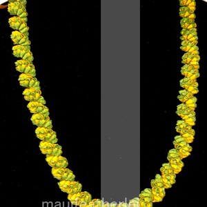 Ribbon Lei Pikake Pakalana Hawaiian Flower Blossom, Wedding Leis ...