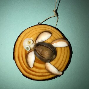 Hawaiian Shell Ornaments, Shell Ornament, Handmade on Maui Christmas ...