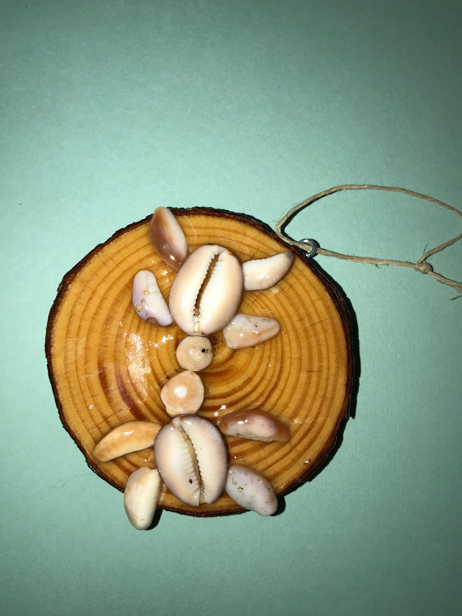Hawaiian Shell Ornaments, Shell Ornament, Handmade on Maui Christmas ...