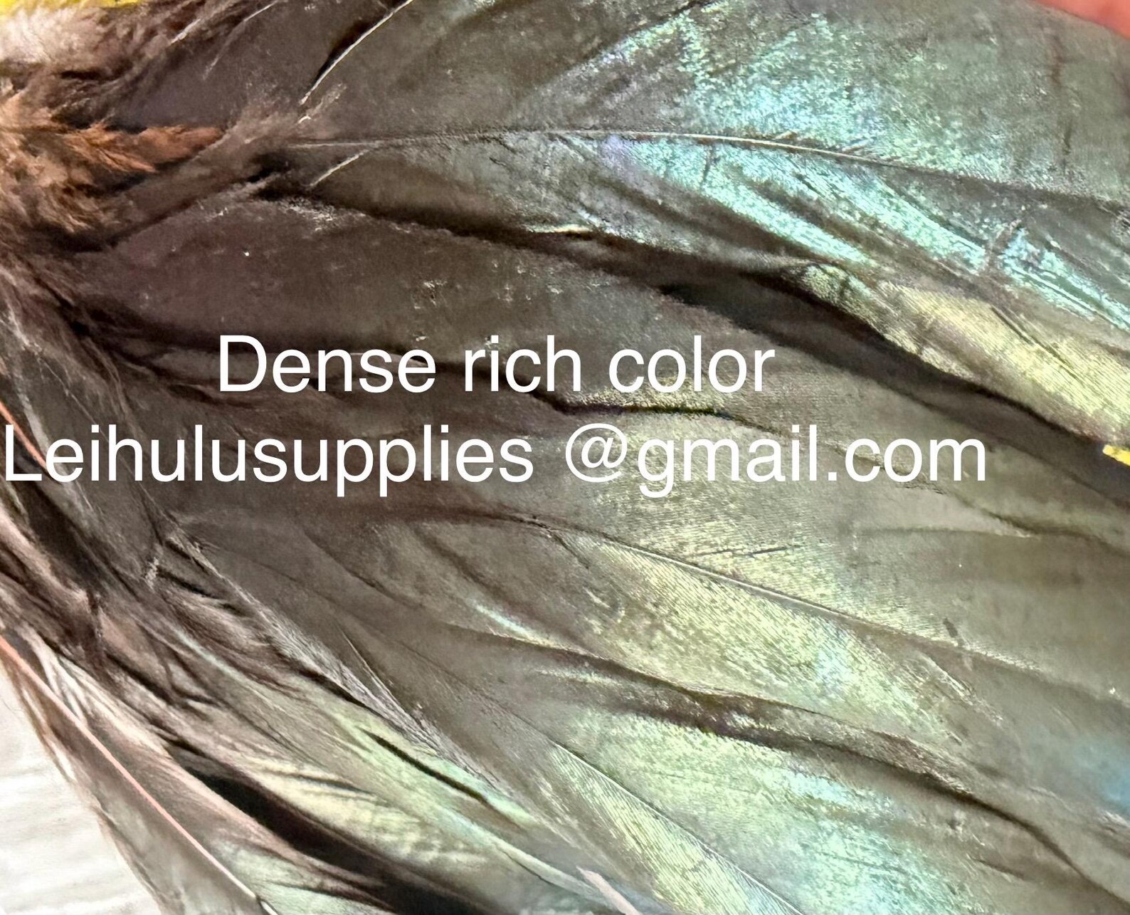 Kahili and Crafting Feathers by 6 Inches Saddle Hackle Hurl Rooster ...