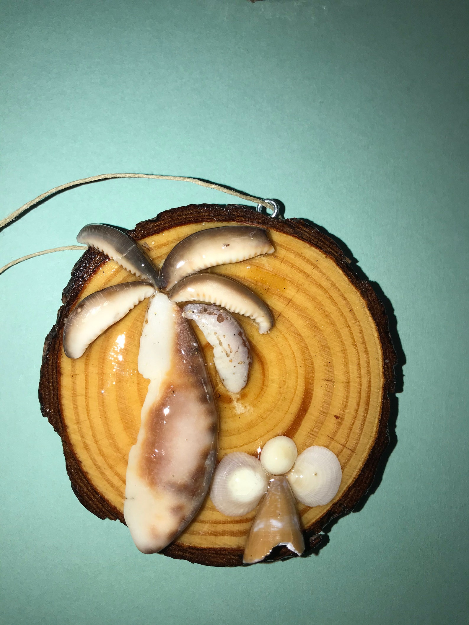 Hawaiian Shell Ornaments, Shell Ornament, Handmade on Maui Christmas ...