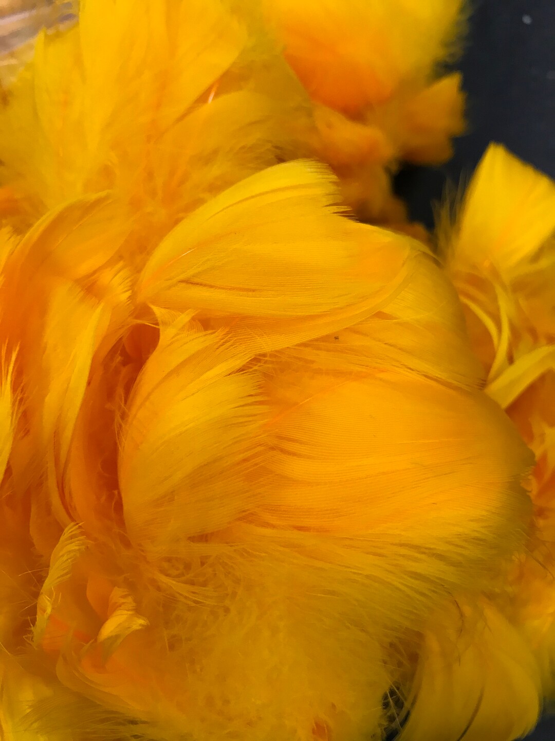 Feather Lei Supply Hawaiian Feather Lei Hulu, Goose .feathers Dyed ...