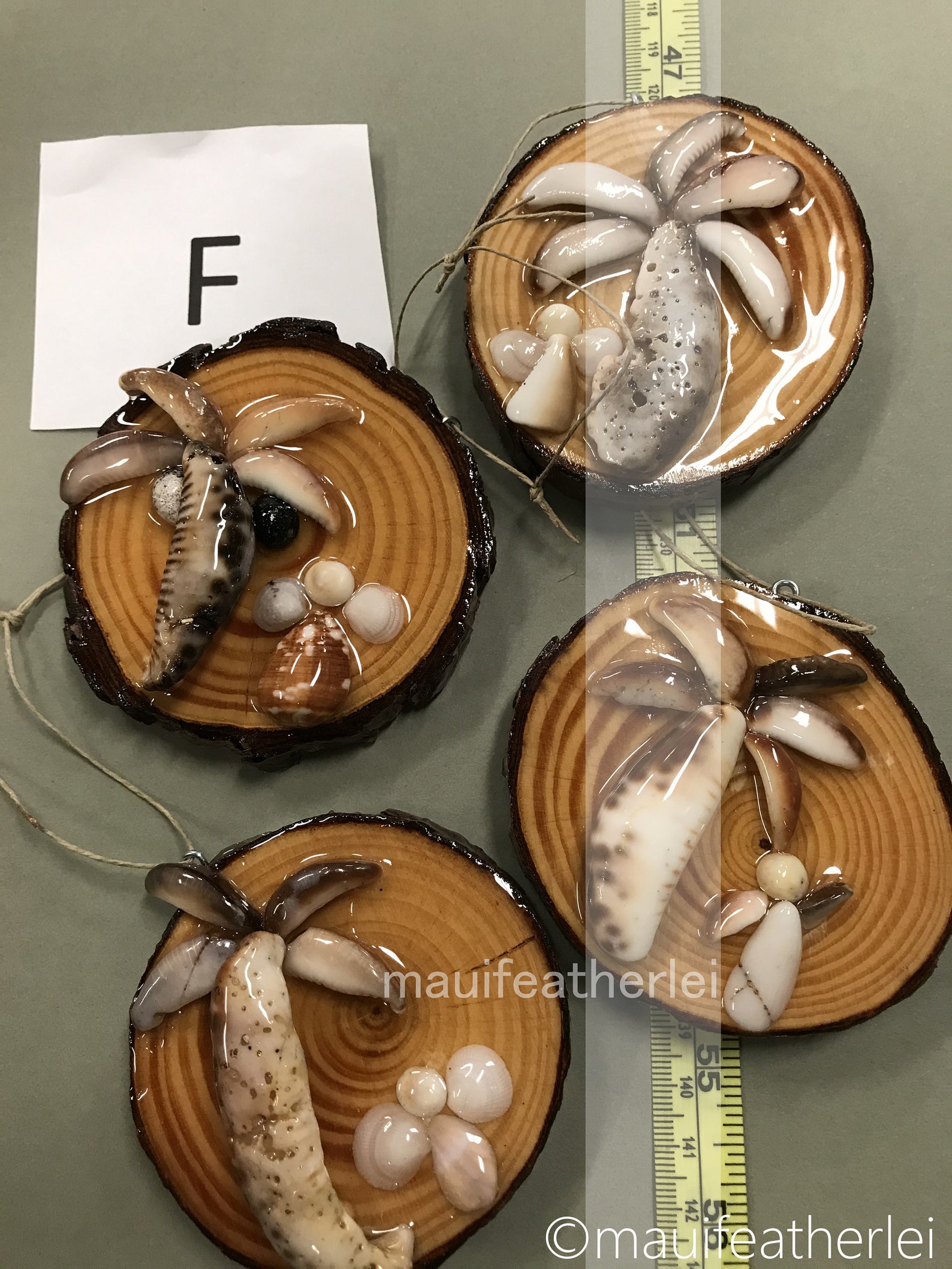 Hawaiian Shell Ornaments Shell Ornament Handmade on Maui - Etsy