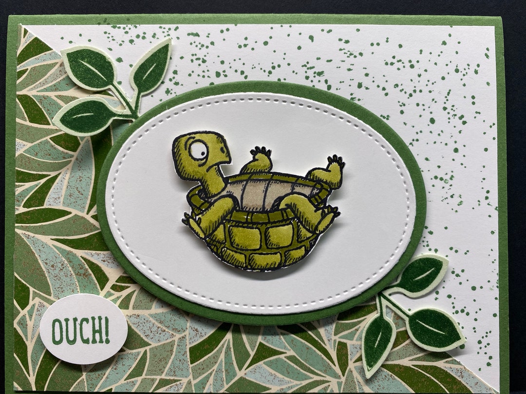 Get Well Turtle - Etsy