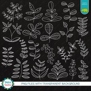 Chalkboard Plants Clipart - Chalk Plants / Chalkboard Botanical ...