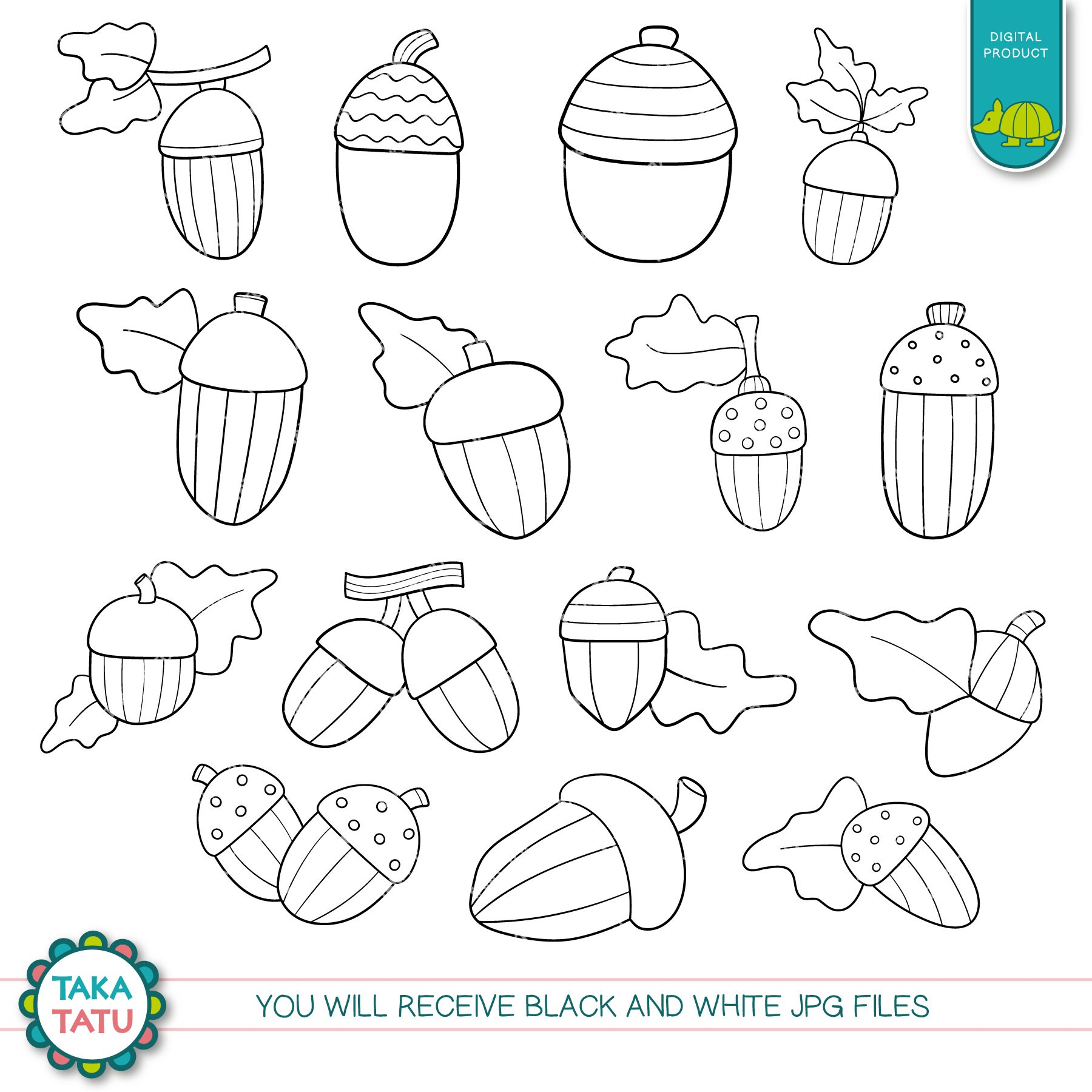 Acorn Doodles Clipart Acorn Digital Stamp / Autumn Clipart / - Etsy