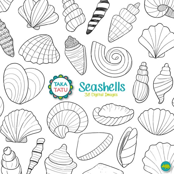 Seashell Clipart Black And White