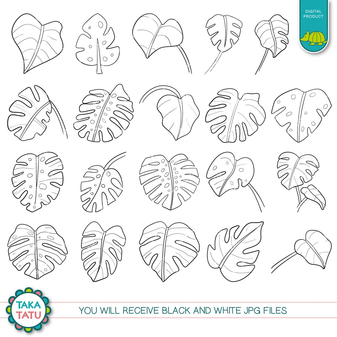 Monstera Leaves Clipart Tropical Leaves Digital Stamp / - Etsy