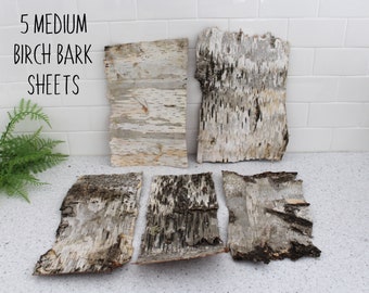 Birch bark sheets | Etsy