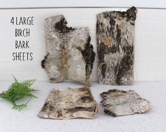 Birch bark sheets | Etsy