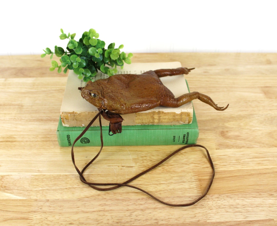 Vintage Taxidermy Cane Toad Zipper Purse | Taxidermy Oddities | F478 - Etsy