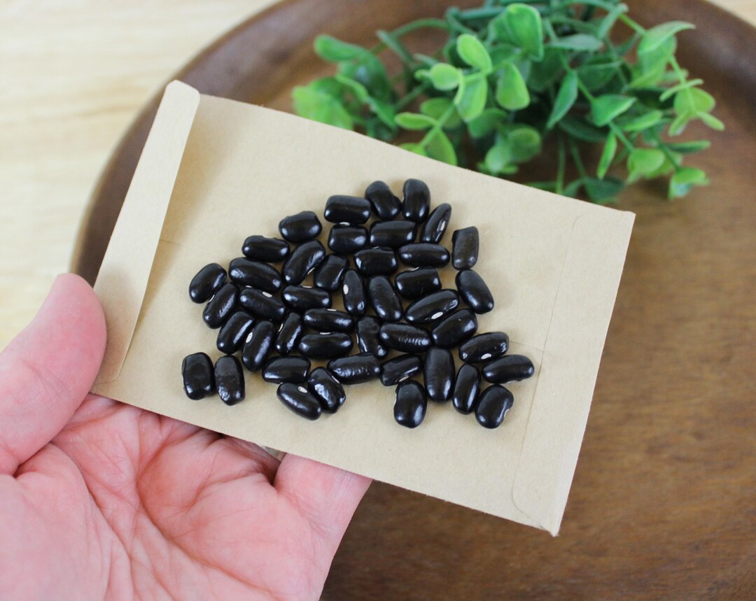 Cherokee Trail of Tears Black Beans | Garden Vegetable Seeds Beans - Etsy