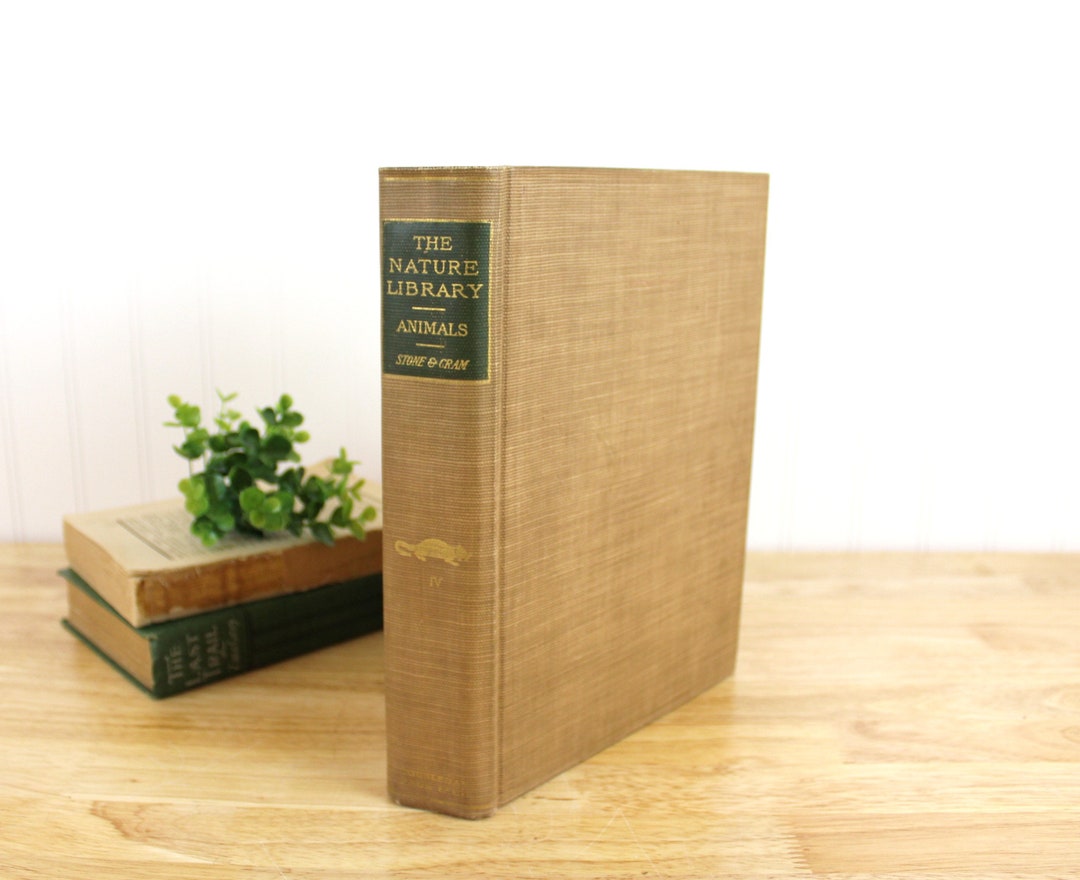 1905 the Nature Library-animals Book Stone & Gram Doubleday Vintage F51 ...