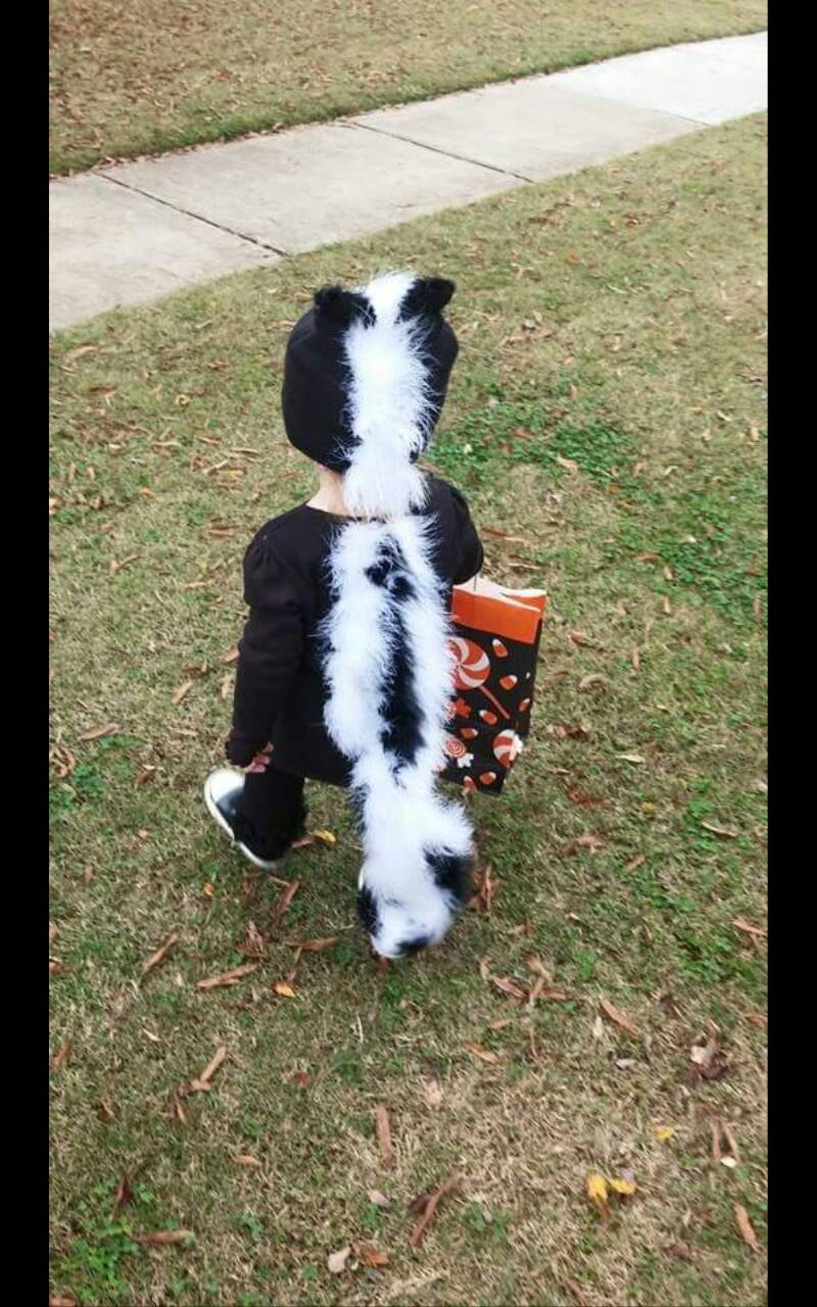 Skunk Costume Halloween Costume Boys Halloween Costume - Etsy
